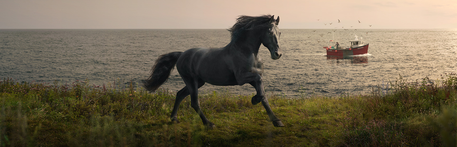 adam&eve- Forever Forward